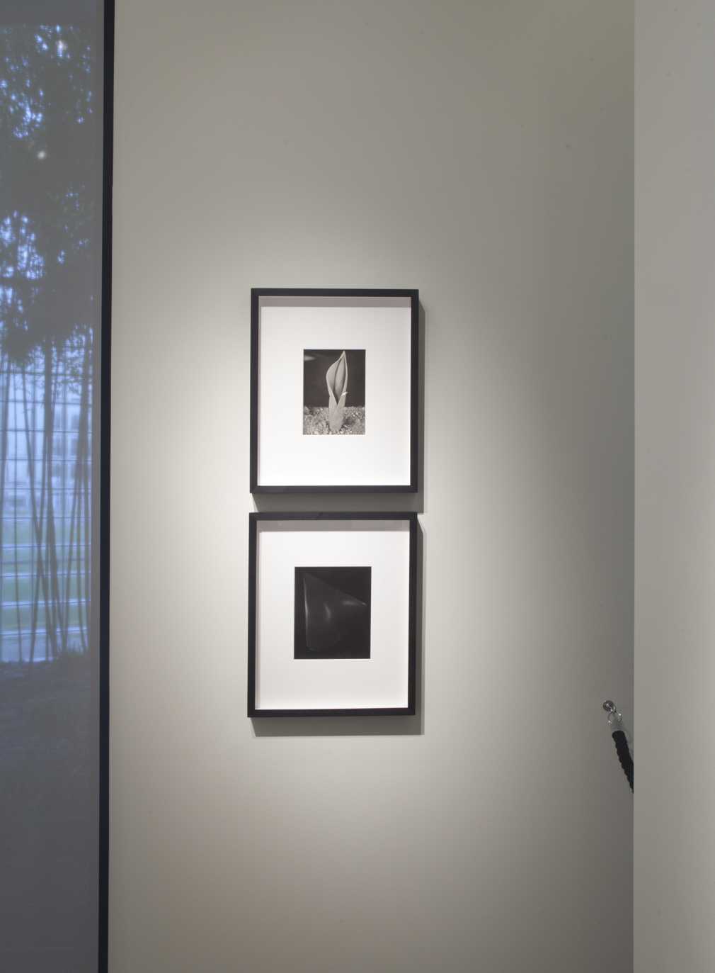 Kicken Berlin | 1974… 40 Years. 40 Photographs