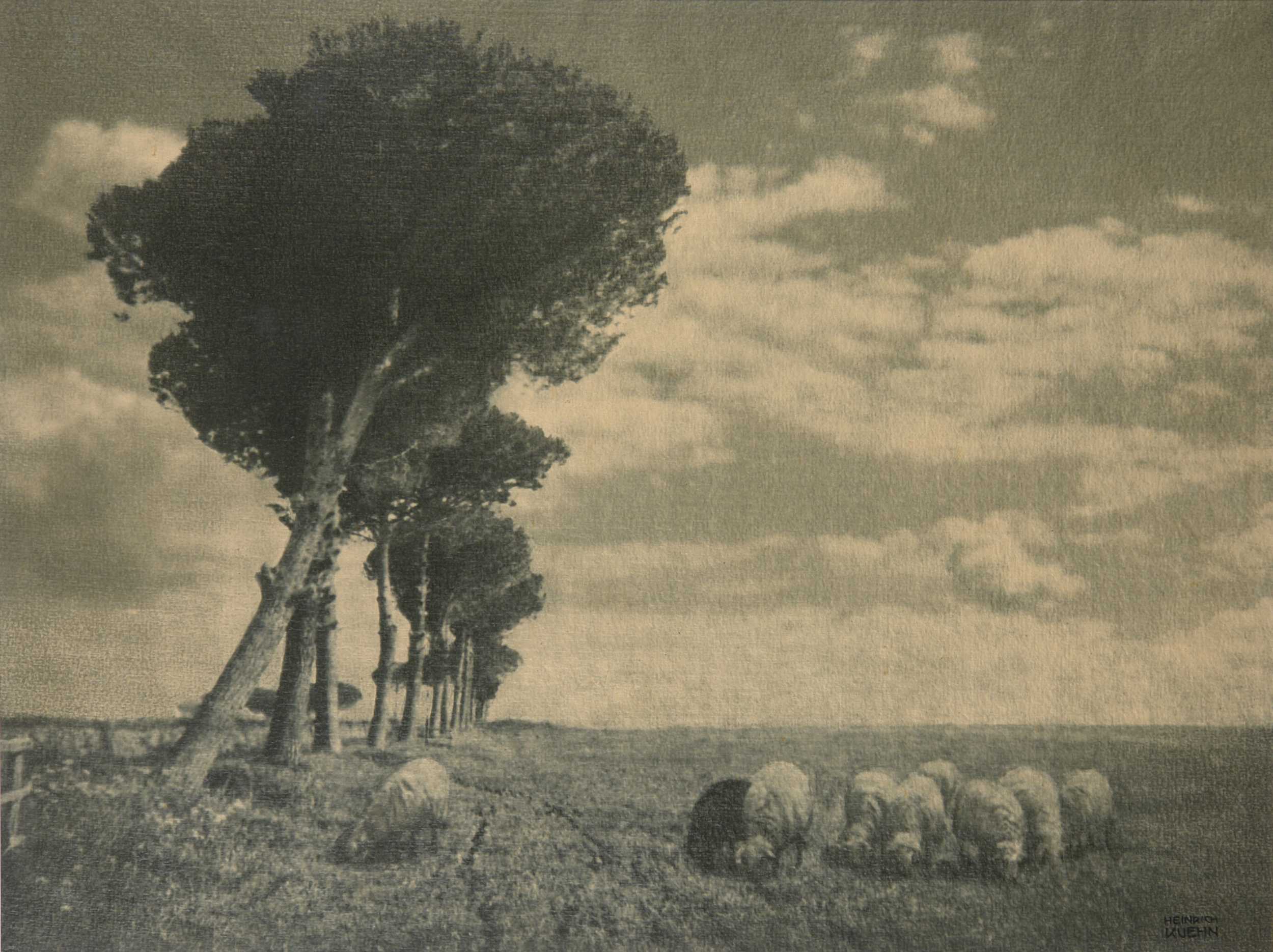 Kicken Berlin | PICTORIALISM
