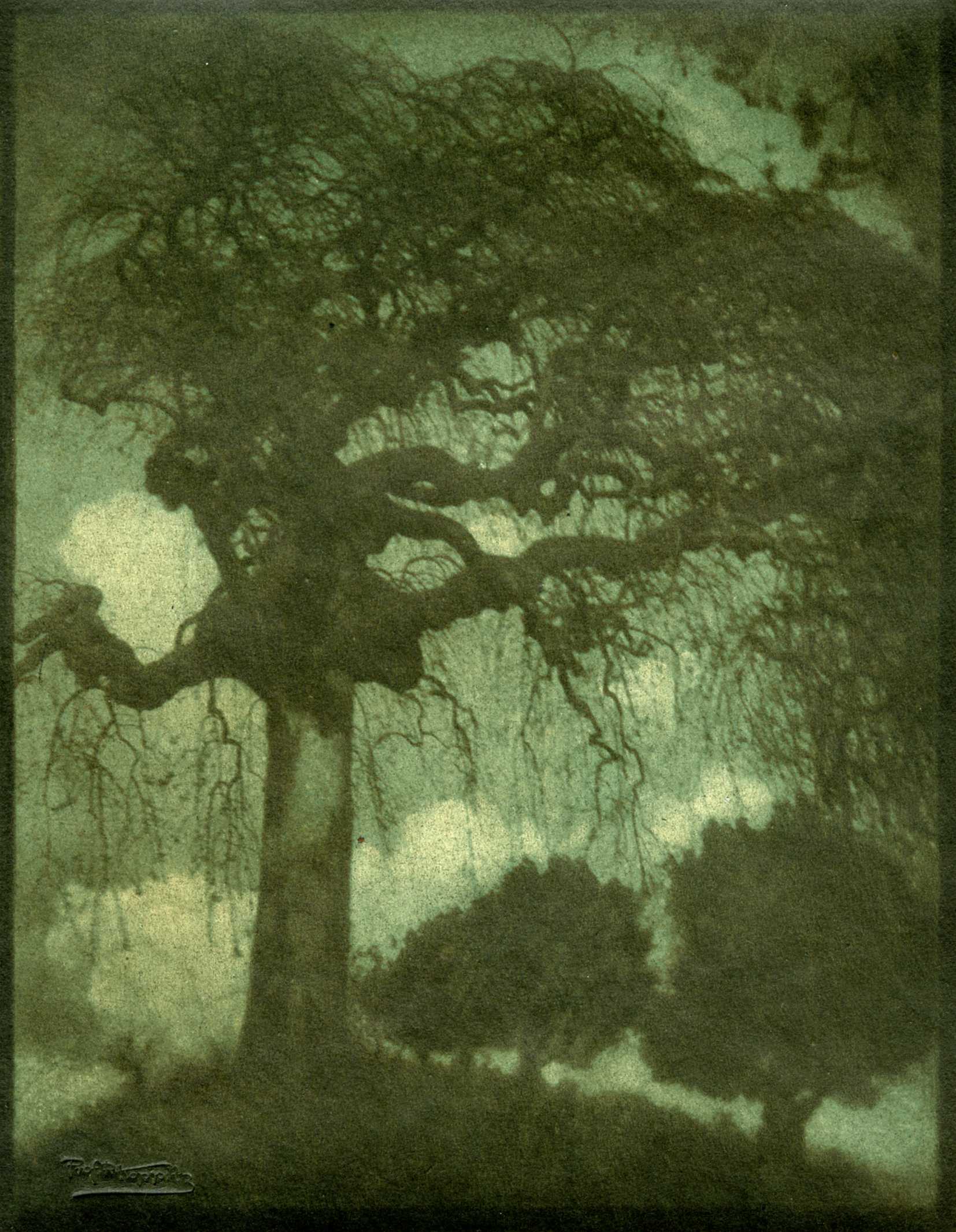 Kicken Berlin | PICTORIALISM