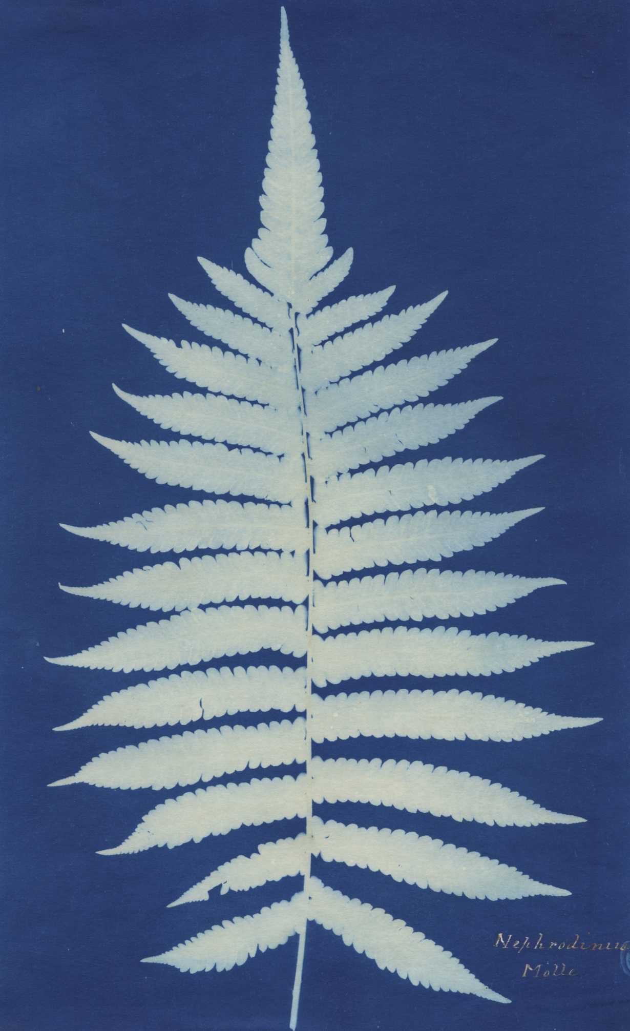 Kicken Berlin | SHEROES OF PHOTOGRAPHY